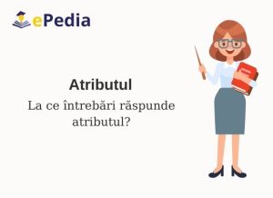 Atributul. La ce întrebări răspunde atributul? - ePedia