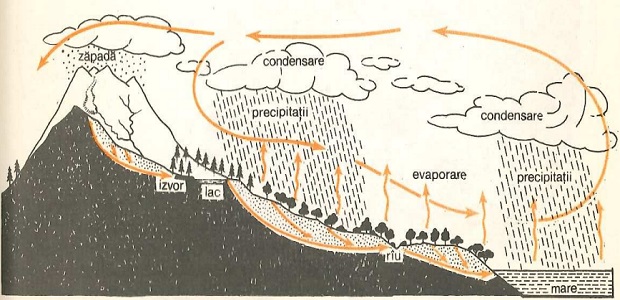 Circuitul apei în natură - ePedia