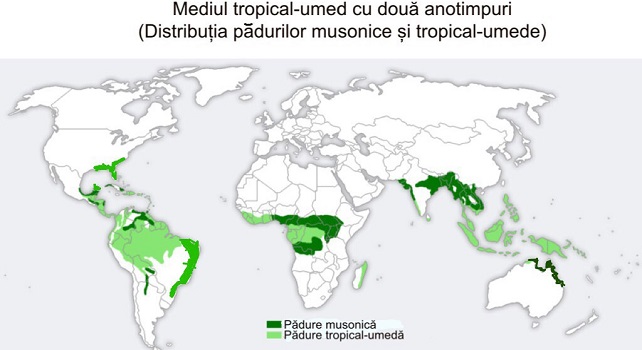 Clima tropicală umedă - ePedia