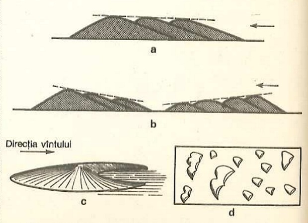 Eroziunea eoliană prin acțiunea vântului - ePedia