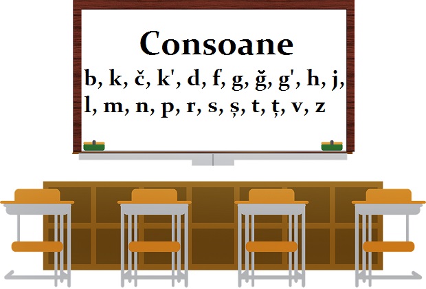 Care sunt consoanele? - ePedia