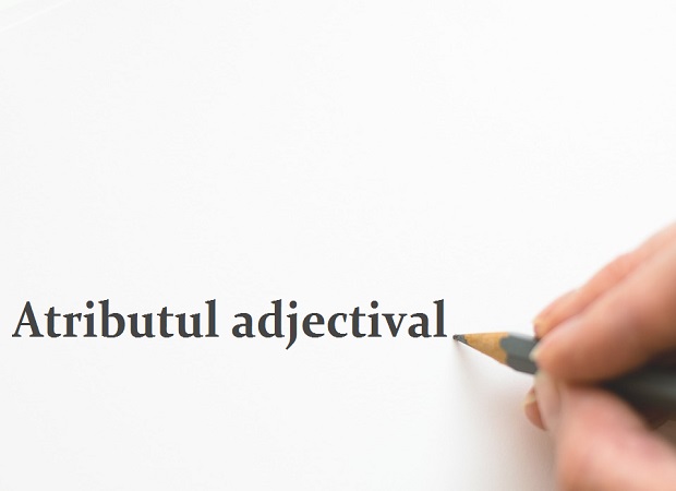 Atributul adjectival. La ce întrebări răspunde atributul adjectival ...