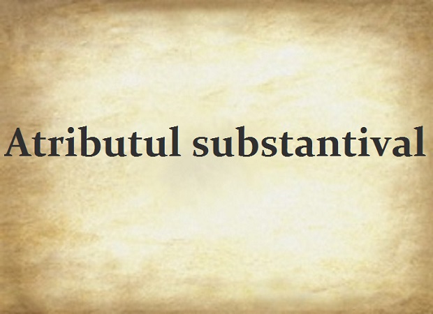 Atributul substantival. La ce întrebări răspunde atributul substantival ...