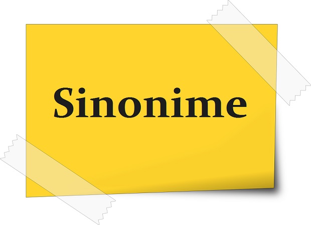 Sinonime. Ce sunt sinonimele? Exemple - ePedia