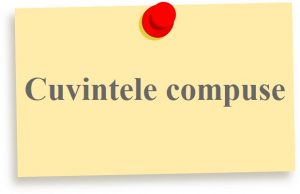 Cuvintele compuse. Exemple de cuvinte compuse - ePedia
