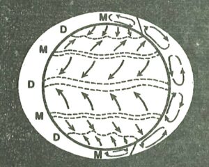 Elementele și fenomenele meteorologice - ePedia